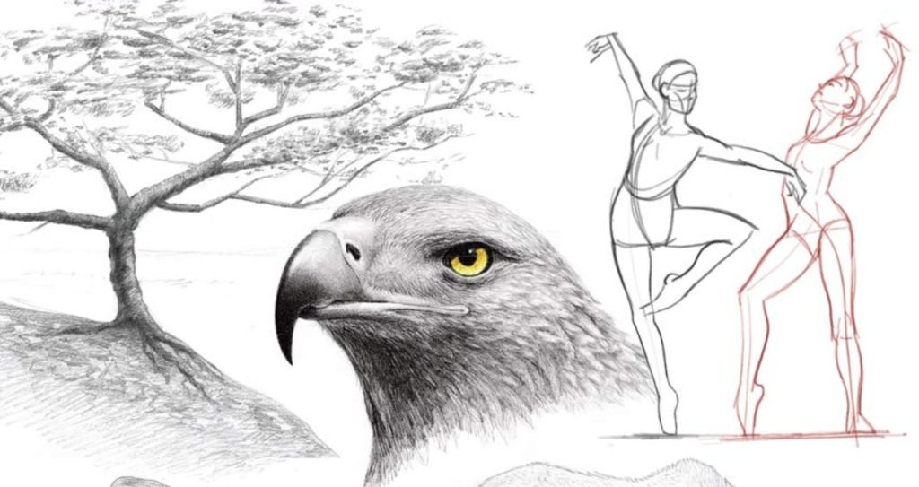 Step-by-Step Guide to Mastering Drawing Basics in 2025